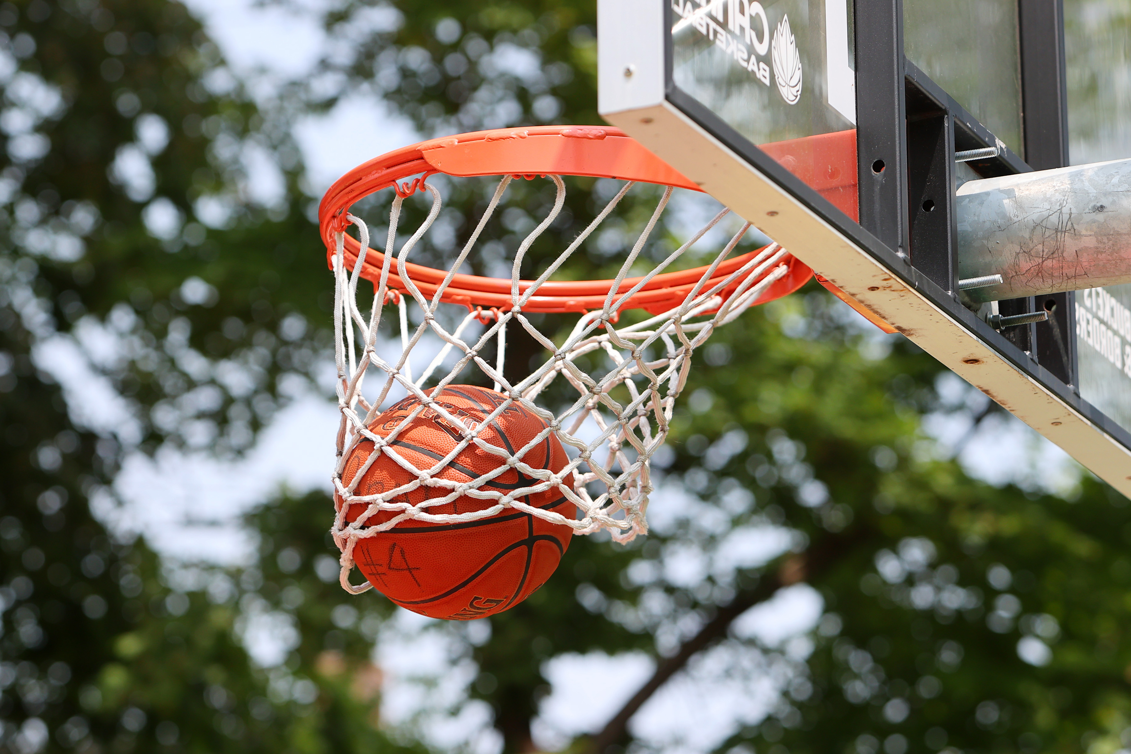 Basketball Nova Scotia : Website by RAMP InterActive